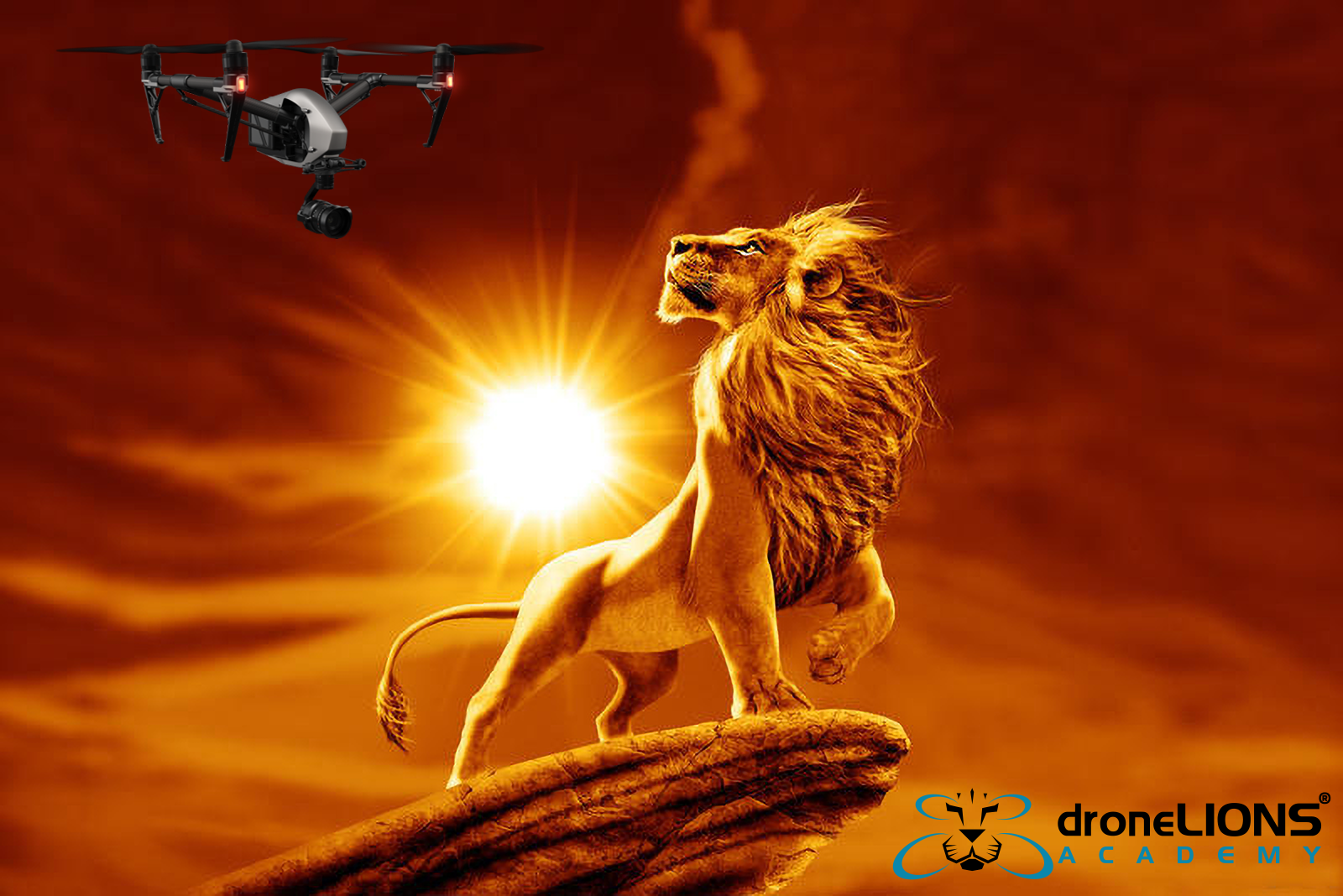 Willkommen bei der droneLIONS Academy
